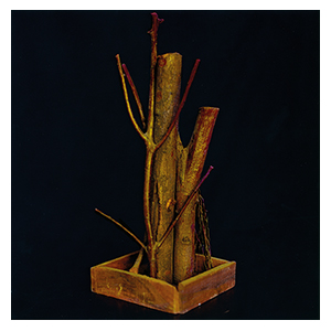 Alexander Gehring - SHOW YOUR DARLING